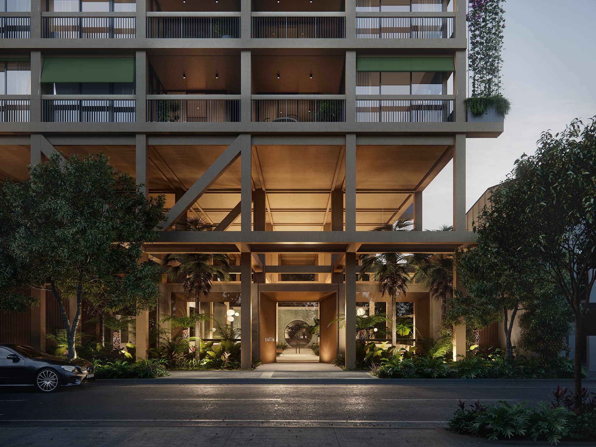 Trellis - Rothelowman