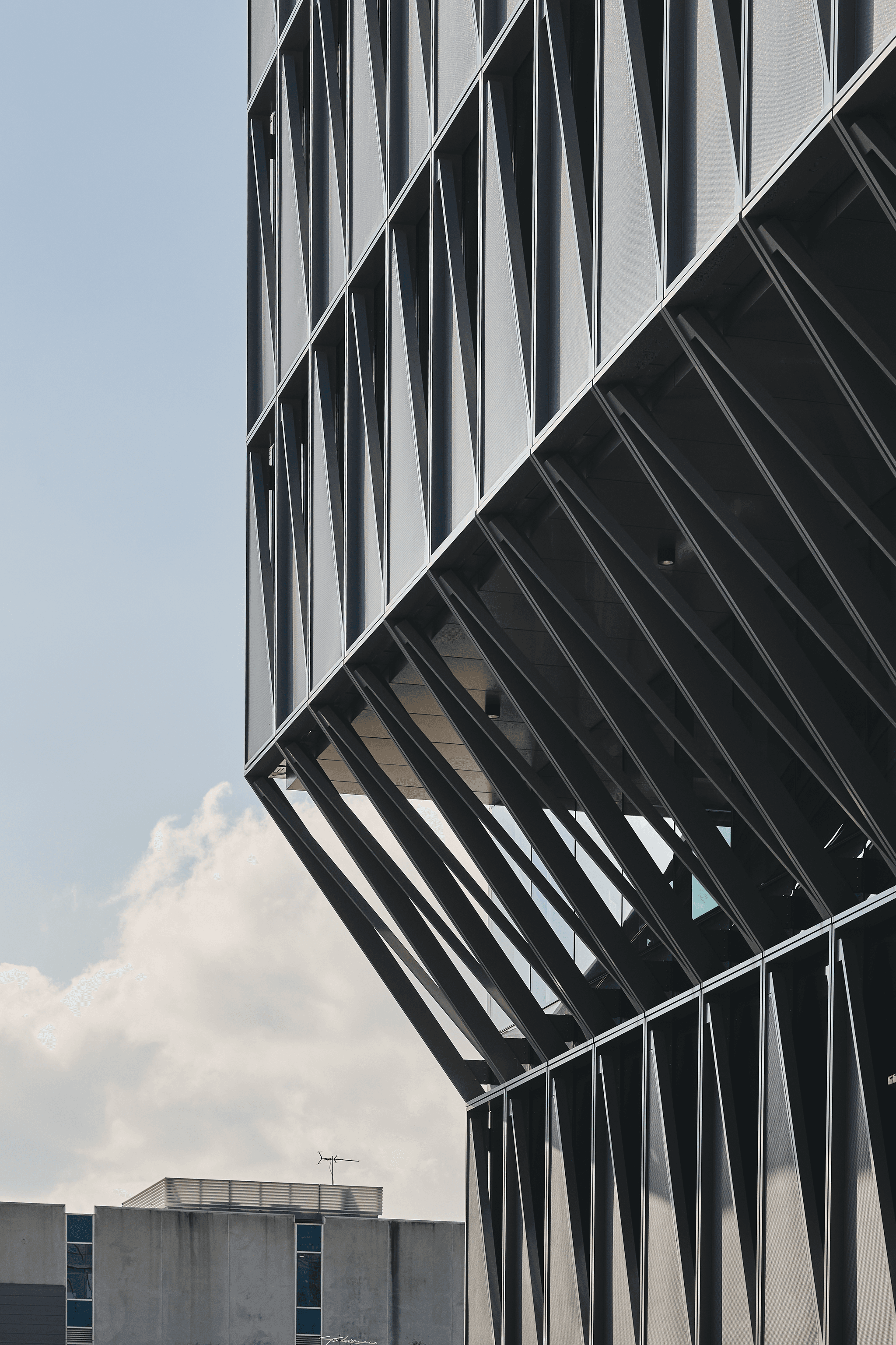 Rosella Cremorne - Rothelowman