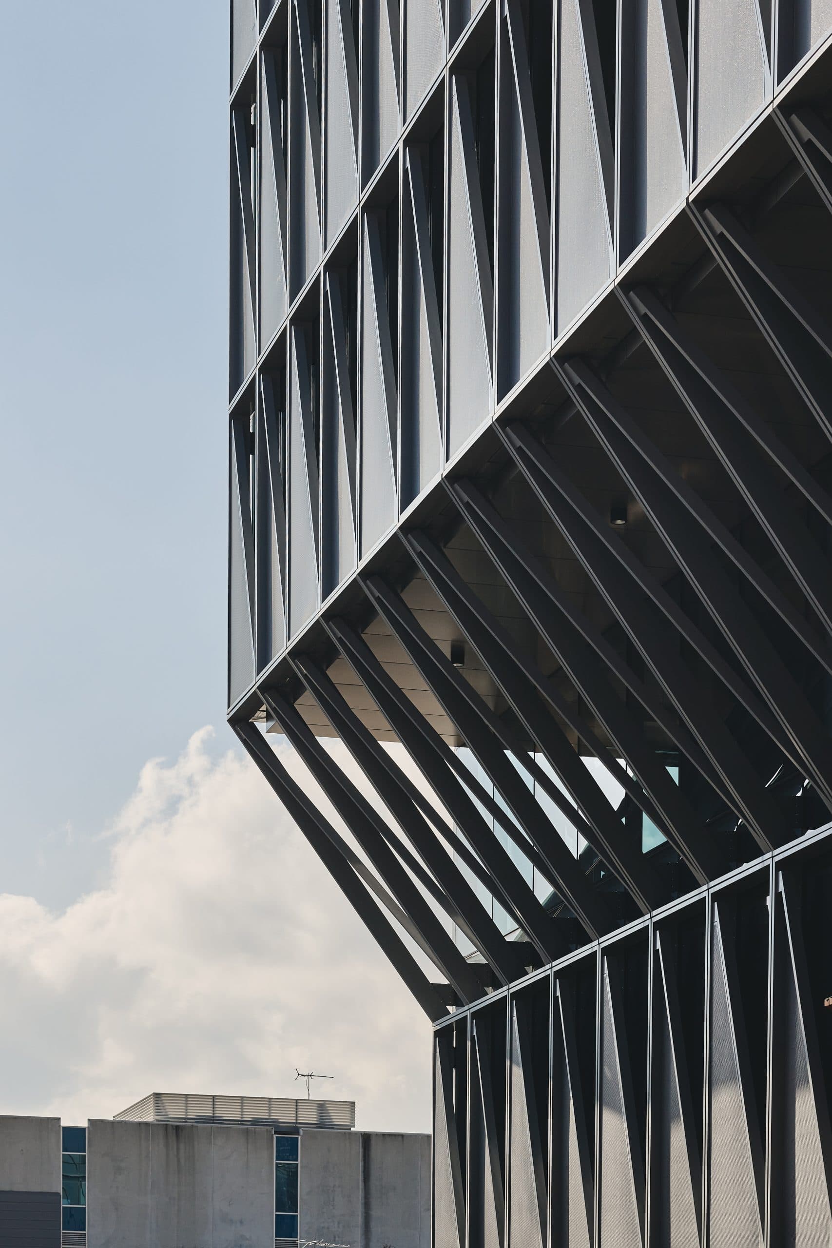 Rosella Cremorne - Rothelowman